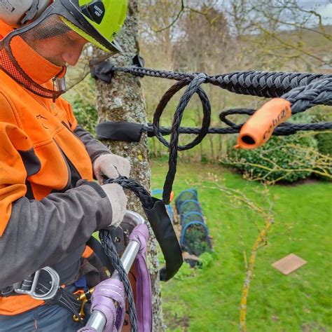 Our Team Has Been Out Tree And Grounds Maintenance Ltd