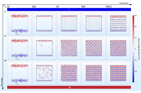 Finite Element Modelling Of A Cellular Electric Microenvironment