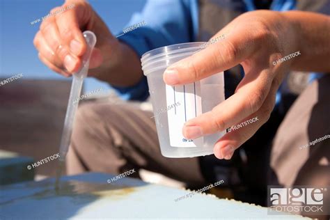 Scientist Collecting Samples Of Algae On A Sampling Surface In A Boat
