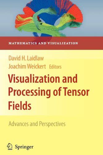 visualization and processing of tensor fields mathematics and