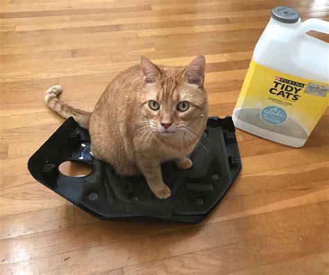 What To Do With Your Plastic Engine Cover