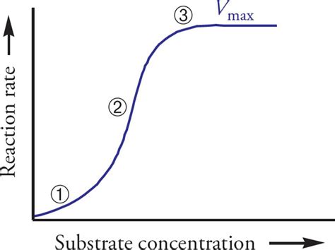 Biochemistry Mcat Biology And Biochemistry