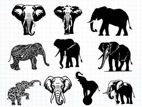 Floral Elephant Svg Bundle Elephant Clipart For Cricut Elephant