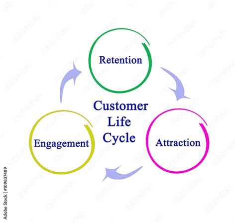 Diagram Of Customer Life Cycle Stock Illustration Adobe Stock