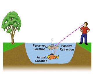 How Do Fish Hide In Clear Waters