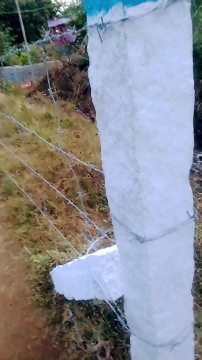 ഇപ്പുറത്ത് മുള്ളുകമ്പി അപ്പുറത്ത് തോട് ആഹാ സൂപ്പർ🙏🏻🙏🏻viralvideo
