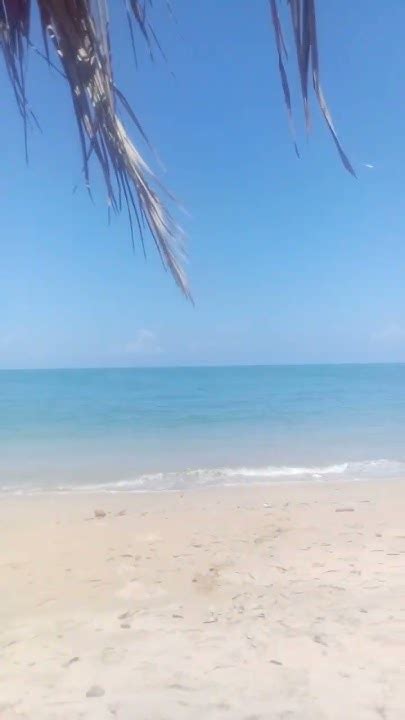 ရွှေသောင်ယံကမ်းခြေ Youtube