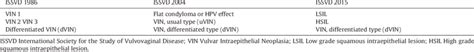 Old And New Terminology Of Vulvar Squamous Intraepithelial Lesions