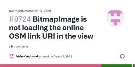 Bitmapimage Is Not Loading The Online Osm Link Uri In The View · Issue