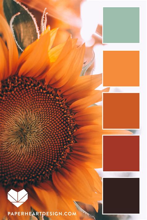Color Palette Sweet Sunflowers — Paper Heart Design Co