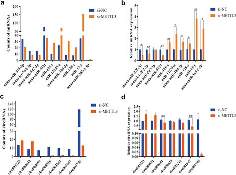 The Candidate Mirnas And Circrnas Were Validated A 10 Differentially