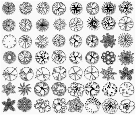 Tree Plan View Png Pack Landscape Tree Plan View Png Tree Stamps