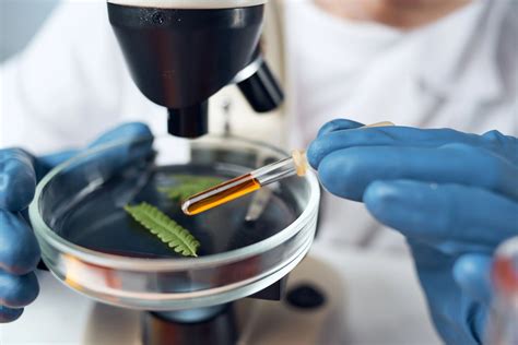 The Case For In House Pathogen Testing