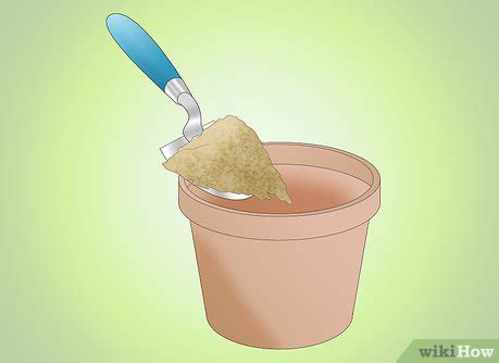 3 Ways To Make Compost For Houseplants WikiHow Life