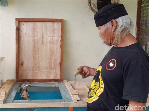 Berita Dan Informasi Ki Kebo Kenongo Terkini Dan Terbaru Hari Ini