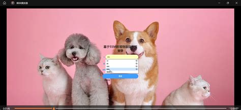 ssm php node python基于的宠物医院系统 csdn博客