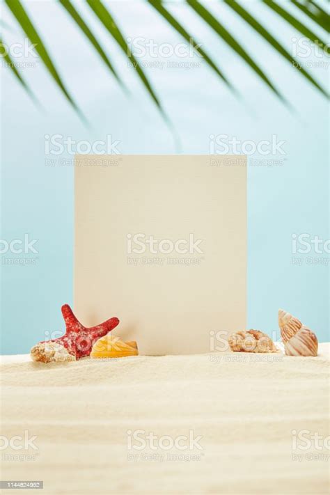 녹색 야자수 잎 근처의 모래에 붉은 불가사리와 조개 껍질 빈 플 라 카드의 선택적 초점 블루 0명에 대한 스톡 사진 및 기타
