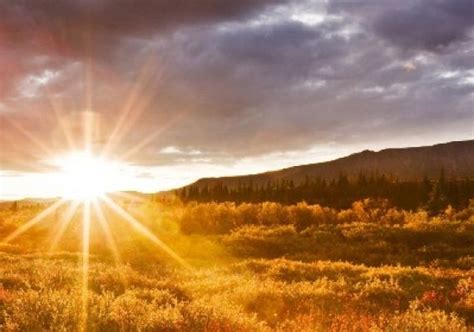 Reclaim Turtle Island Way To Heaven Things To Come Native American News
