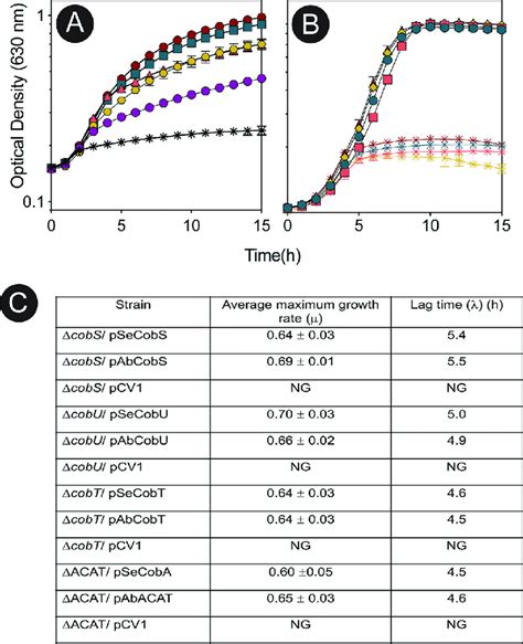 A Baumannii Can Salvage Cobinamide To Form A Complete Cobamide A Ea Download Scientific