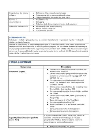 Software Analyst PDF