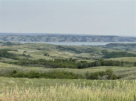 7 Prairie Grasses Have Purpose And Deep Roots Kathi Waligora