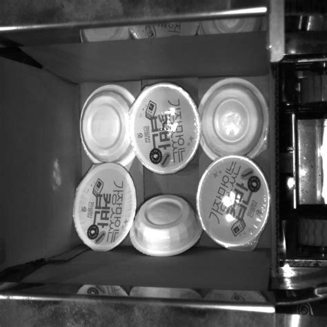 Segmentmulti Instance Segmentation Dataset By Xz