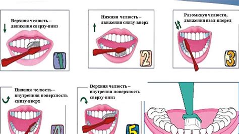 Orecare - зубная паста Тяньши с экстрактами трав