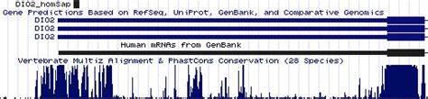 Selenoprotein Evolution Secis Genomewiki