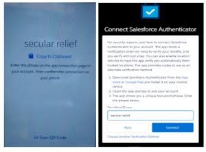 Salesforce Authenticator App Connection Page Ignacia Buck