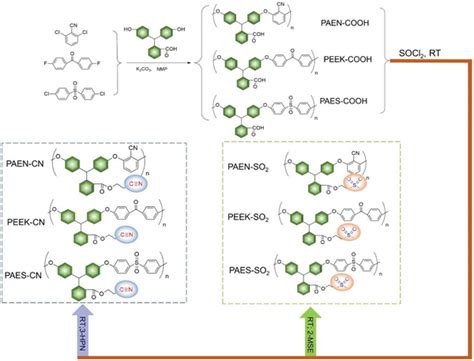 Synthetic Routes Of Various Polyaryl Ethers With Dipolar Side Groups Download Scientific