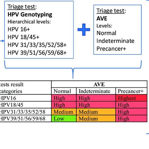 Intended Screening Program With Hpv Genotyping And Automated Visual