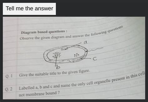 Diagram Based Questions Observe The Given Diagram And Answer The Follow