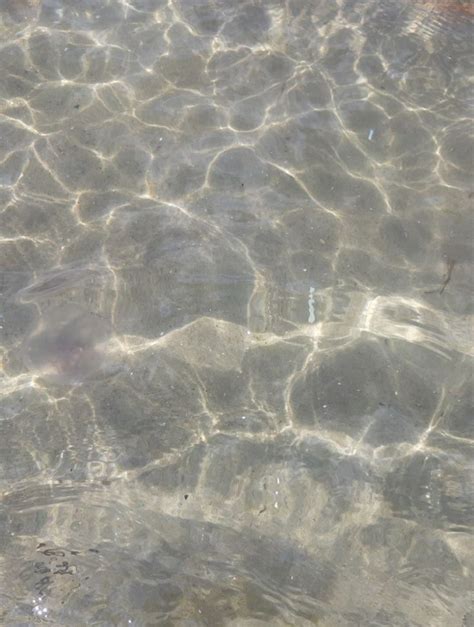 Clear Water Reflection Wall Art