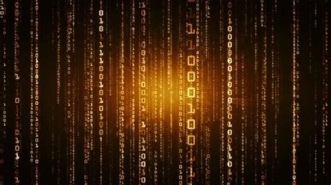 The Matrix Style Binary Code The Camera Stock Video Pond
