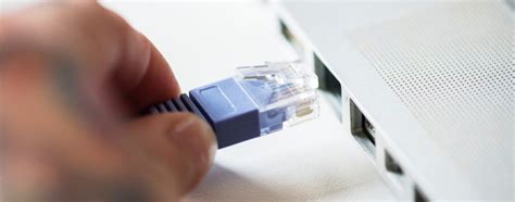 Ethernet Cable FAQ Clearing Common Doubts About Networking Cables ZGSM WIRE HARNESS