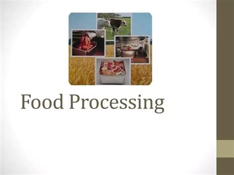 Ppt Food Processing Powerpoint Presentation Free Download Id1873695