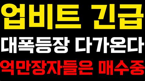 코인속보 대폭등장 임박 월가 큰손 움직인다 미국대선 트럼프 해리스 코인 코인추천 업비트 빗썸 이더리움 리플 시바이누 도지 솔라나 수이 스택스 알트코인 알트코인추천 코인불장