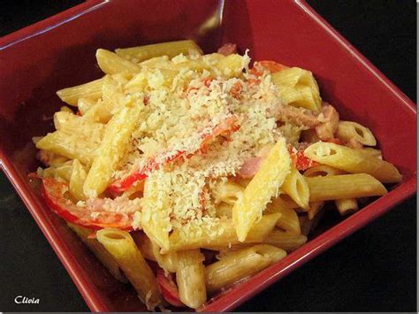 Recettes De Penne Et Parmesan
