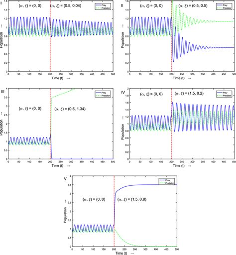 Numerical Simulation Illustrating The Controllability Aspects Of System