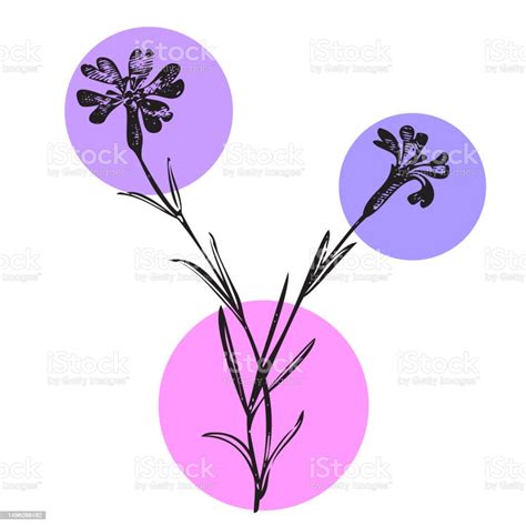 식물 손으로 그린 야생화는 흰색 배경에 분리되어 있다 빈티지 창조적 인 꽃다발입니다 벡터 그림 인사말 카드 디자인 포스터 인쇄 파티 청첩장 생일 0명에 대한 스톡 벡터 아트