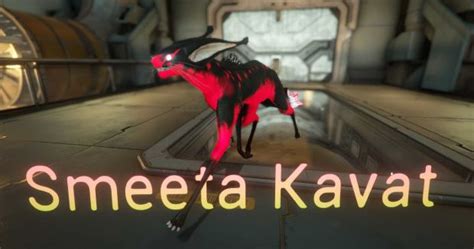 Top 5 Warframe Best Offensive Companions And How To Get Them