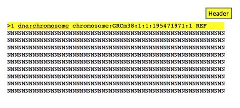 Crg Advanced Linux 2019 Advanced Linux Course For Biologists And