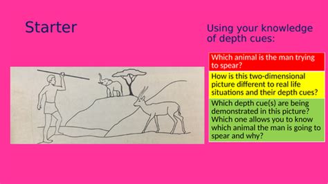 Perception Aqa Gcse Psychology New Spec Teaching Resources