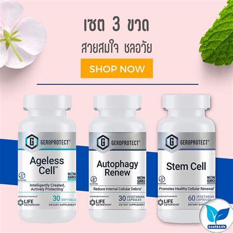 เซ็ตสวยสมใจ ชะลอความแก่ Ageless Cell Autophagy Renew Stem Cell