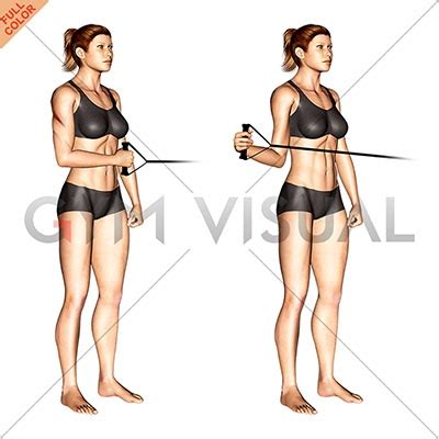 Band Standing External Shoulder Rotation