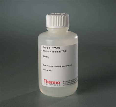 Thermo Scientific Blocker Casein Tbs 100 Mlwestern Blot Products