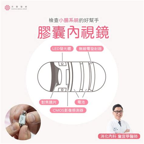 禾馨醫療 【消化道健檢方案🔰守護胃腸健康】 胃 大腸 小腸 胰臟 心血管