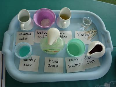 Experiment 13 Red Cabbage Indicator Homebabe Den