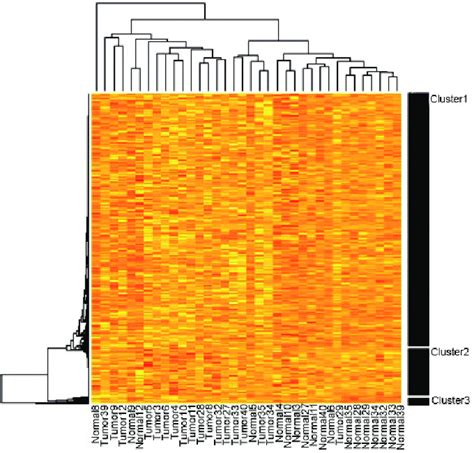 cluster map derived from a two way cluster analysis by the hierarchical