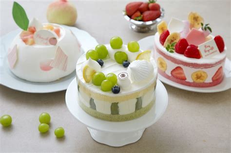 파리바게뜨 무더위로 지친 입맛 사로잡는 과일 케이크 선보여 노컷뉴스